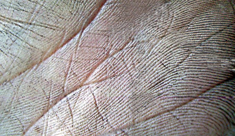 Johnny Fincham Palmistry Course