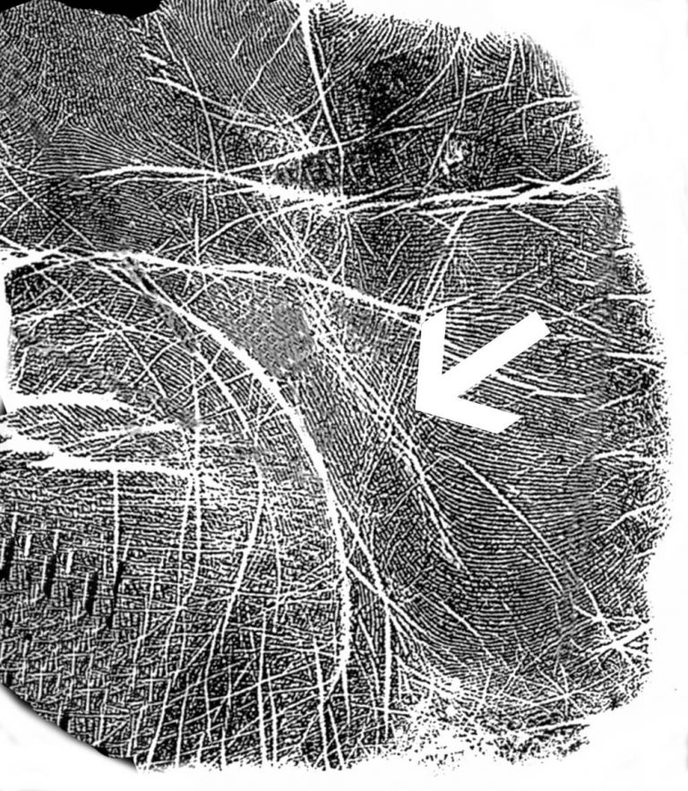 Johnny Fincham Palmistry Course